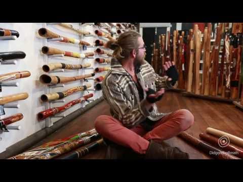 Buying your First Didgeridoo - Didge Buying Guide